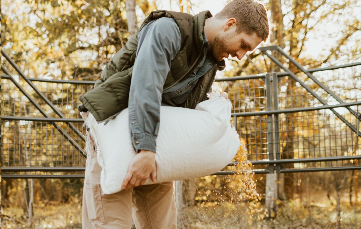 Hog Eye Cameras Australia - Feral Pig Video Trapping System