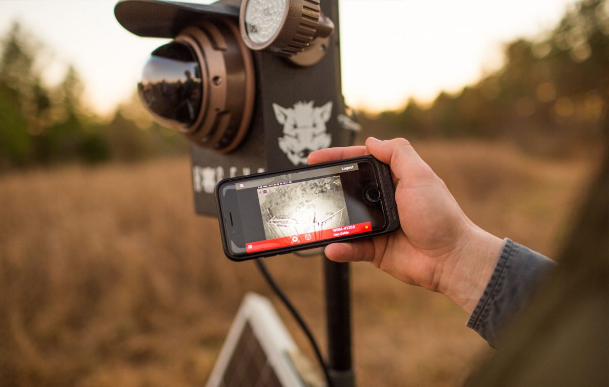 Hog Eye Cameras Australia - Feral Pig Video Trapping System