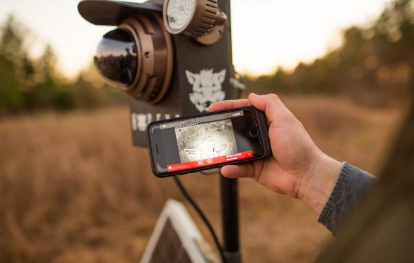 Hog Eye Cameras Australia - Feral Pig Video Trapping System
